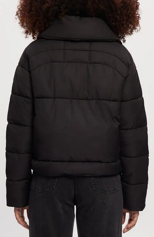 NOIZE Cropped Puffer Jacket - Black
