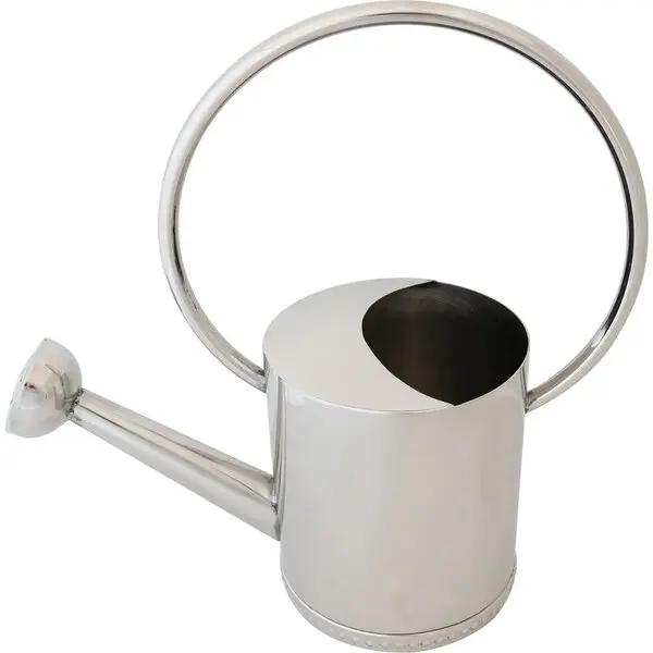 STORIED HOME 1 Gallon Stainless Steel Watering Can - Silver