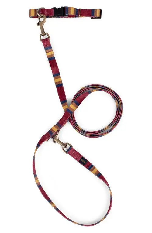 Pendleton National Park Adventure Collar - Zion