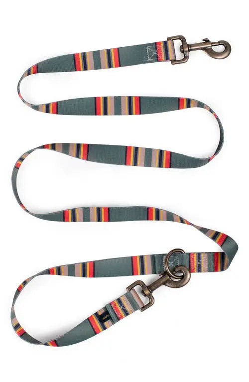 Pendleton Vintage Camp Adventure Leash - Green Heather