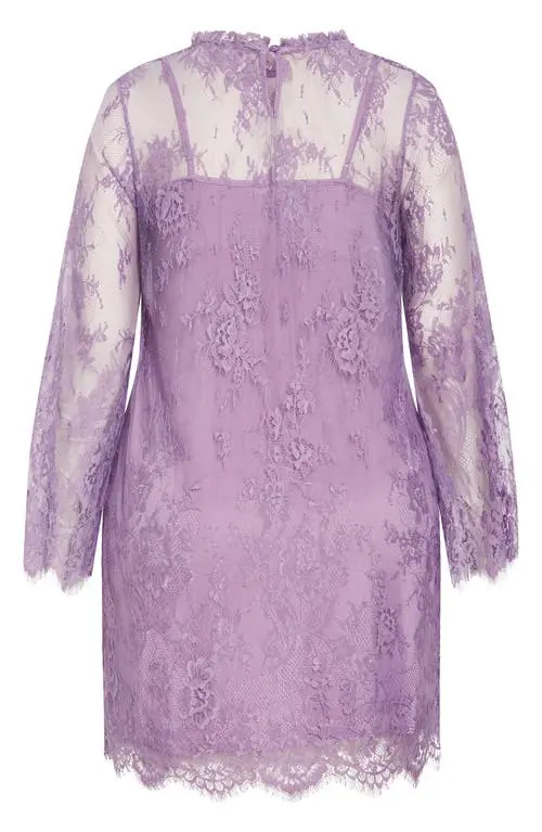 City Chic Zelda Lace Mini Dress - Lilac Lace