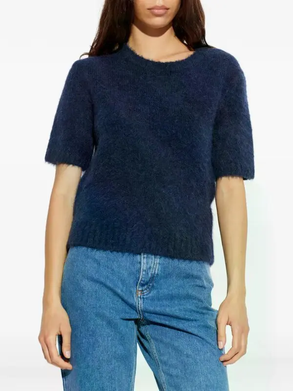 SAMSOE SAMSOE Sajeanne Short-sleeve Top - Blue