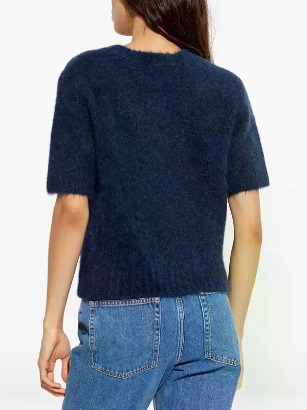 SAMSOE SAMSOE Sajeanne Short-sleeve Top - Blue