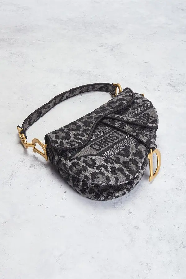 Dior Mizza Embroidered Saddle Bag