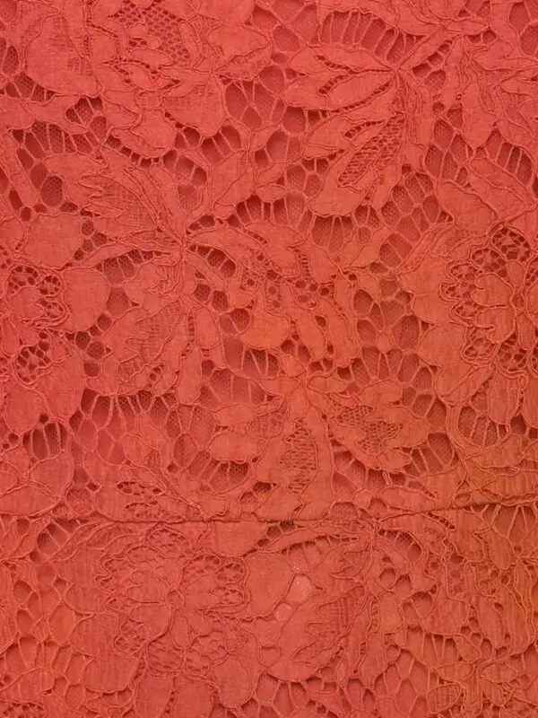 Valentino Garavani Corded Lace Midi Dress