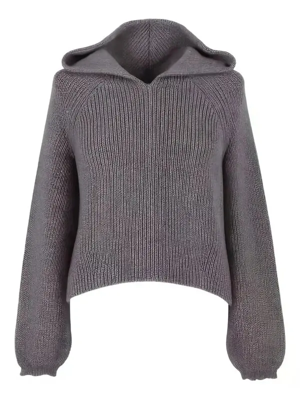 TWINSET Hooded Knit Sweater