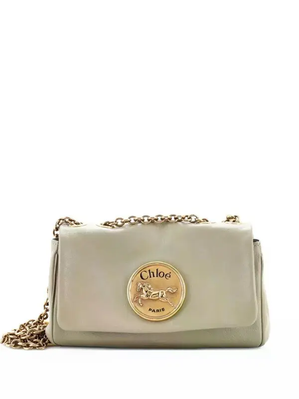 Chloé Heritage Chain Leather Small Shoulder Bag