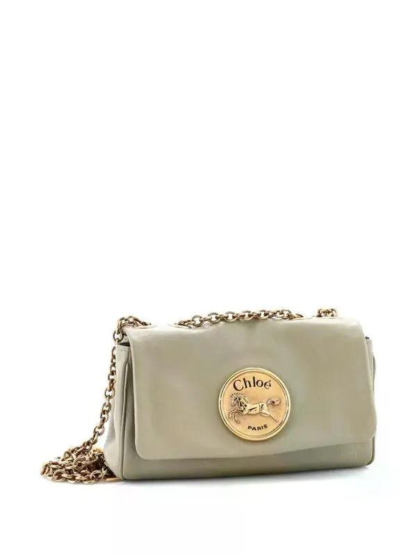 Chloé Heritage Chain Leather Small Shoulder Bag
