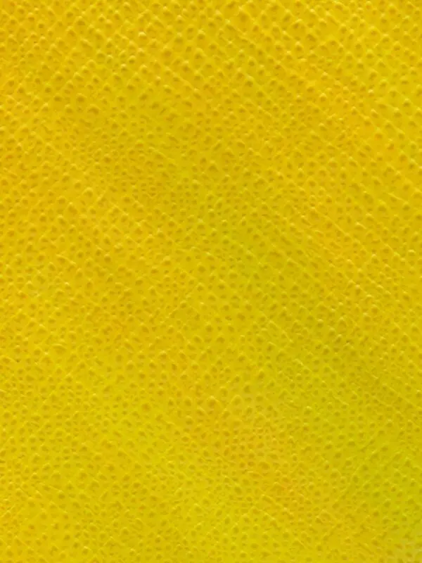 Smythson Leather Phone Cover - Yellow