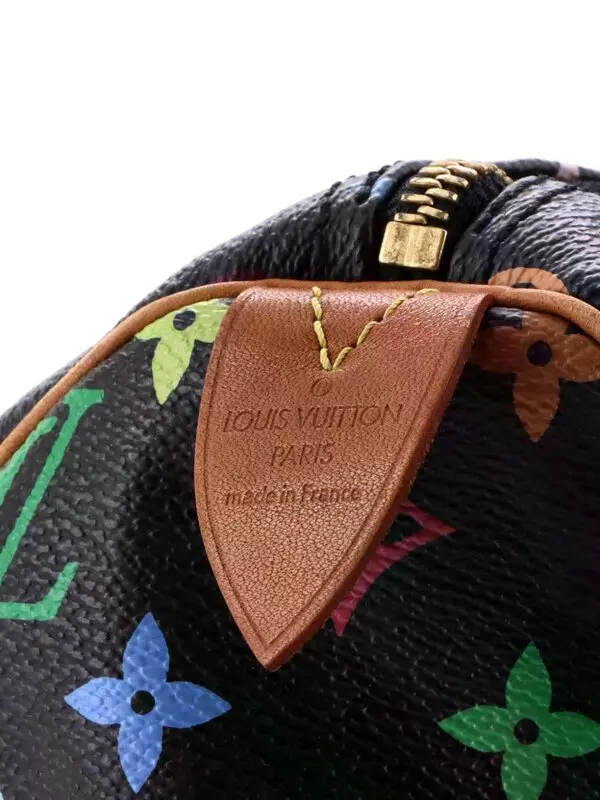 LOUIS VUITTON Speedy Handbag Monogram Multicolor 30 Satchel