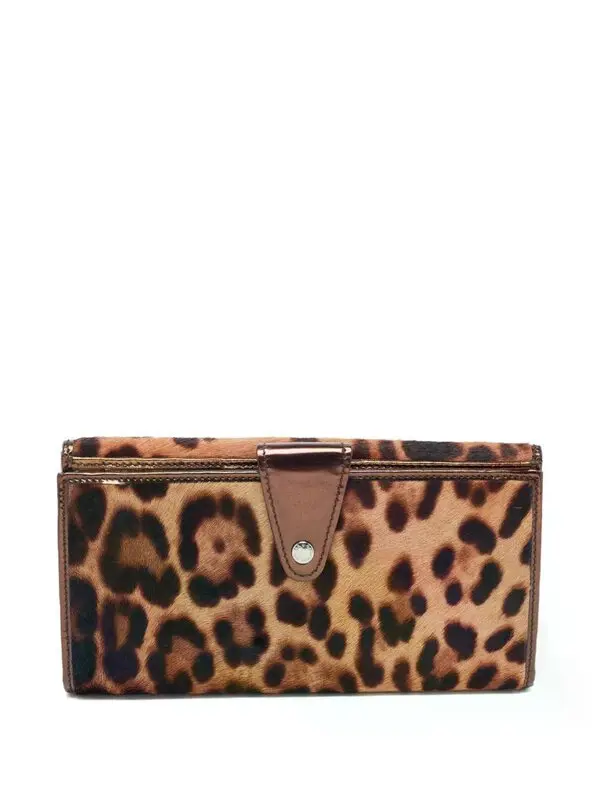 Dolce & Gabbana Leopard-print Wallet - Brown