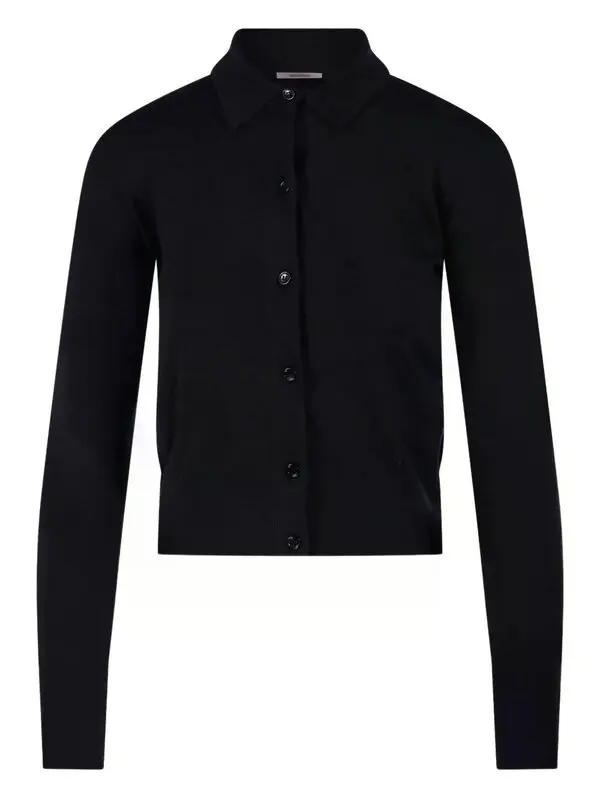 Max Mara Buttoned Collared Cardigan - Blue