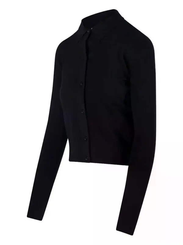 Max Mara Buttoned Collared Cardigan - Blue