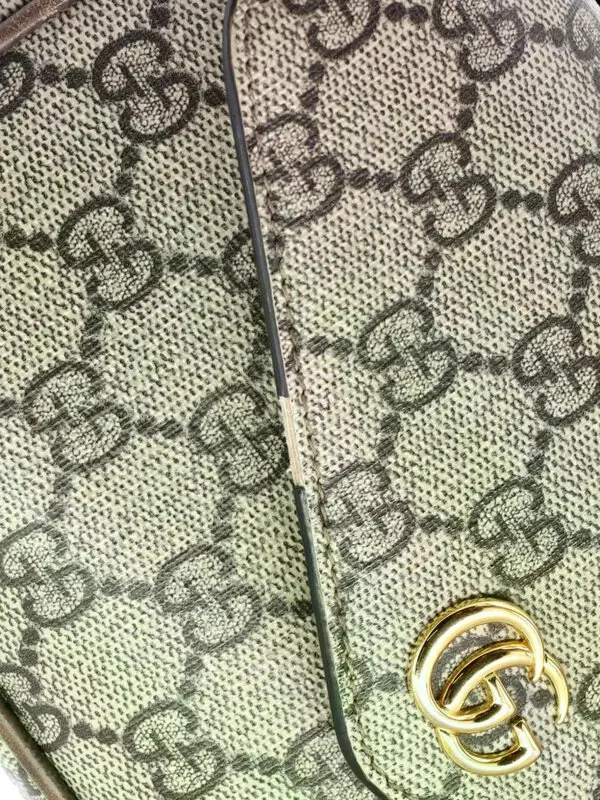 Gucci Ophidia Gg Coated Canvas Mini Shoulder Bag