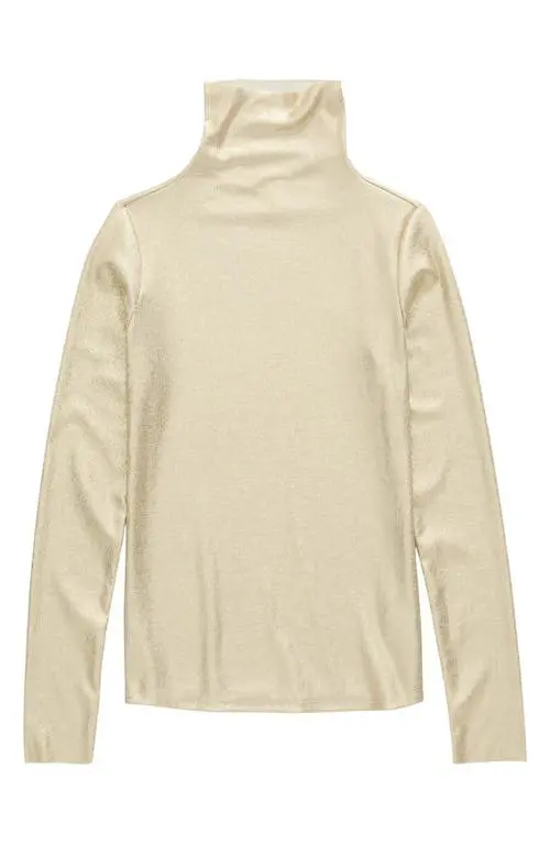 Ag Chels Metallic Rib Turtleneck Sweater