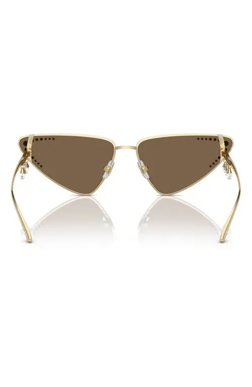 JIMMY CHOO 63mm Cat Eye Sunglasses