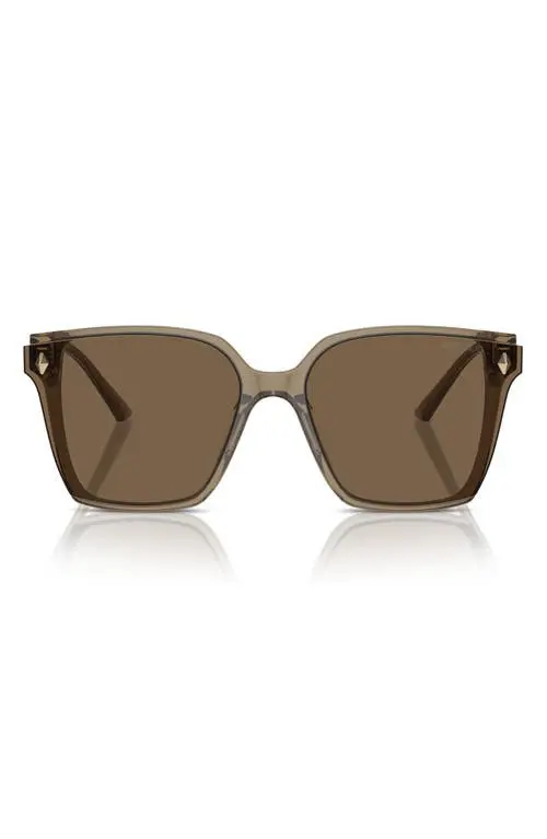 JIMMY CHOO 61mm Oversize Square Sunglasses - Transparent Brown/dark Brown
