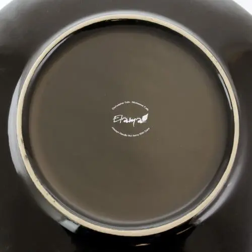 ELAMA Floral Accents 16 Piece Dinnerware Set