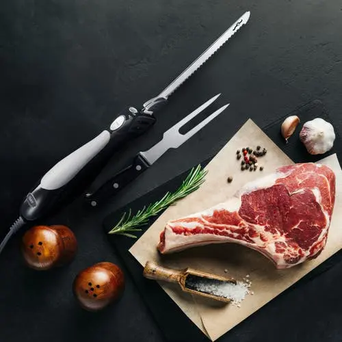 OSTER Electric Knife With Carving Fork And Storage Case