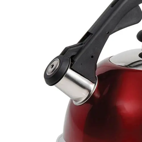 MR COFFEE Claale 2.2 Quart Stainless Steel Whistling Tea Kettle With Nylon Handle