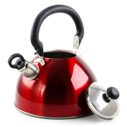 MR COFFEE Morbern 1.8 Quart Tea Kettle