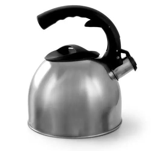 MR COFFEE Steamline 2 Quart Tea Kettle