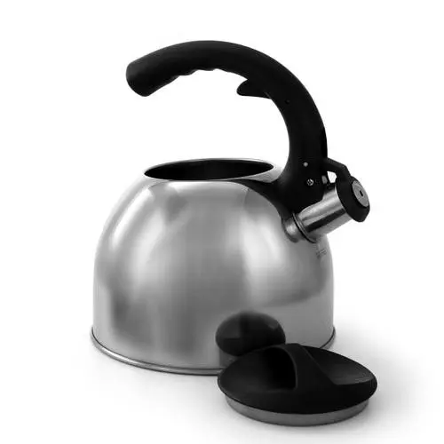 MR COFFEE Steamline 2 Quart Tea Kettle