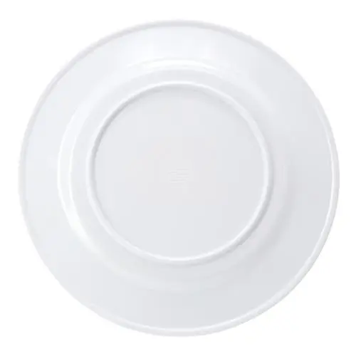 GIBSON HOME Snoopy Pumpkin 12 Piece Melamine 10.5 Inch Dinner Plate Set