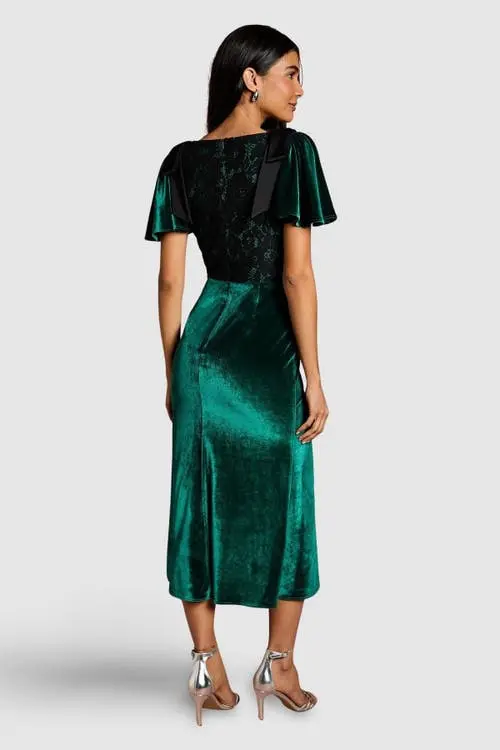 Coast Velvet Lace Mix Short Sleeve Midi Dress
