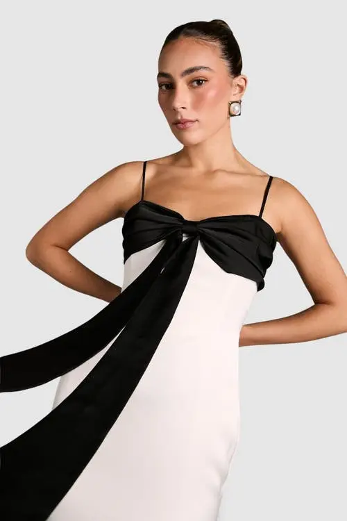 Coast Monochrome Bow Detail Maxi Dress