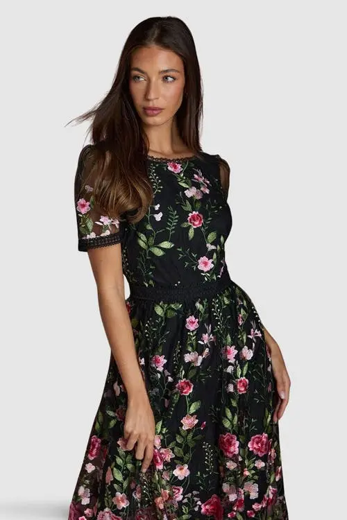 Coast Lace Trimmed Embroidered Mesh Midi Dress