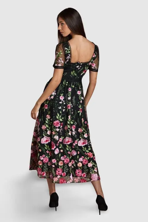 Coast Lace Trimmed Embroidered Mesh Midi Dress