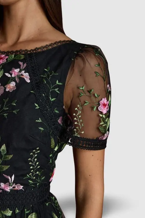 Coast Lace Trimmed Embroidered Mesh Midi Dress