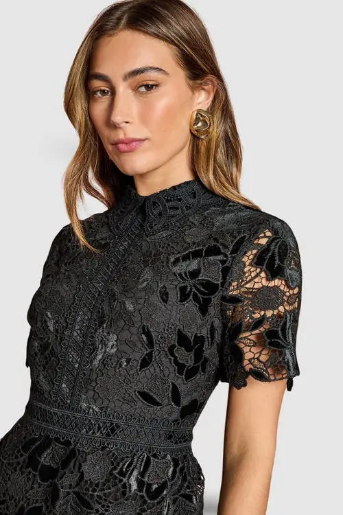 Coast Velvet Lace Collared Midi Dress