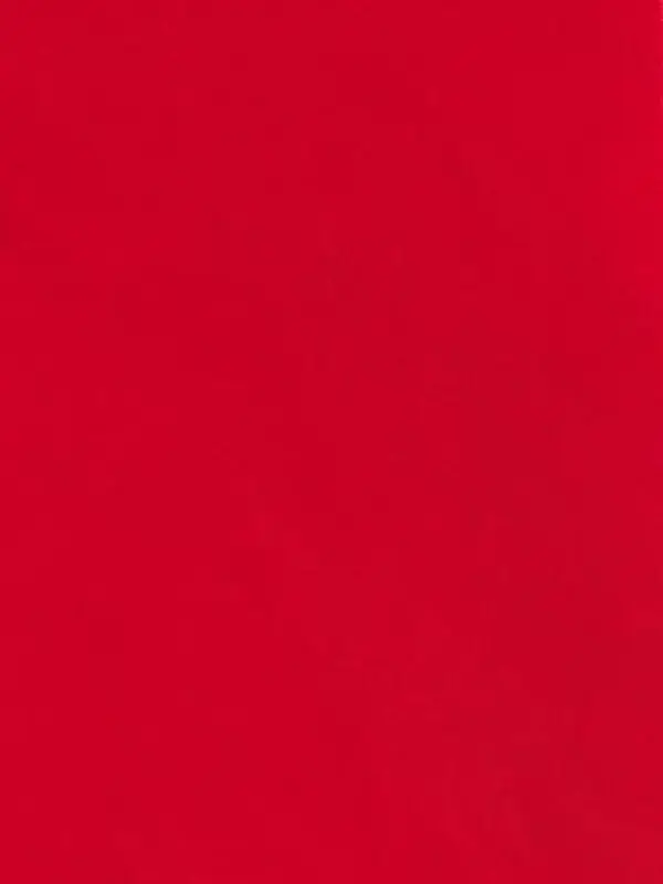 TOTEME Fuzzy Fringed Scarf - Red