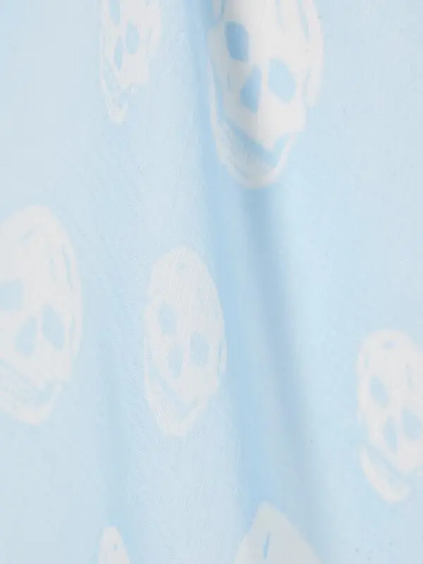 Alexander McQueen Printed Silk-chiffon Scarf - Blue