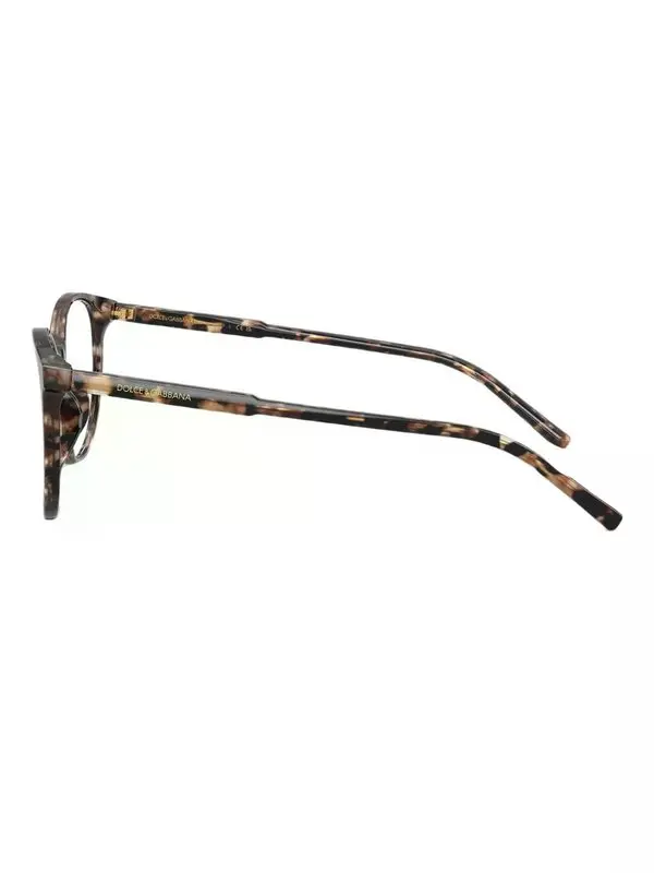 Dolce & Gabbana Tortoiseshell Round Frame Glasses