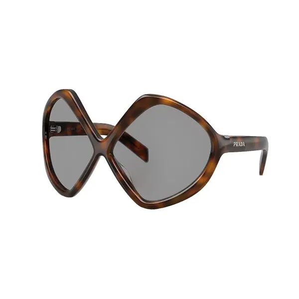 Prada Oversized Sunglasses - Juniper Tortoise (pr_b21s_20d50q_68mm)