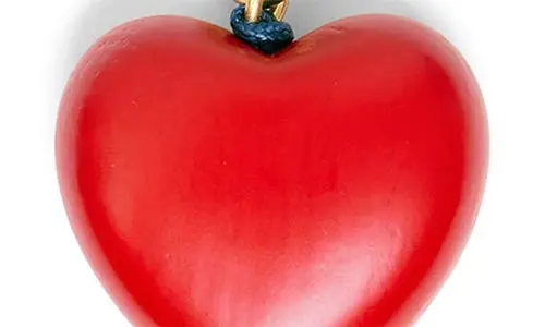Clare V. Grande Heart Charm