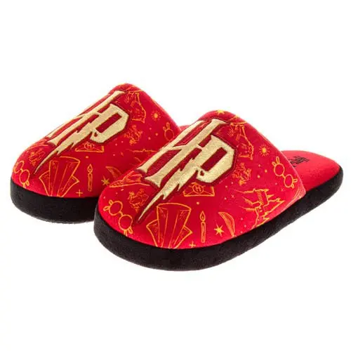 HARRY POTTER Magical Slippers