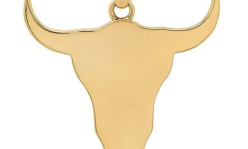 Established Mini Steer Pendant Necklace