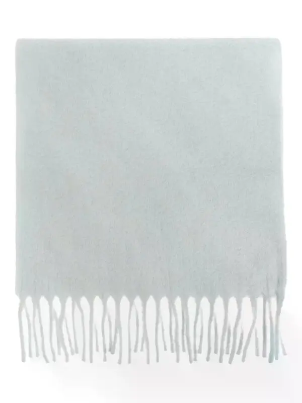 Issey Miyake Fringed Scarf - Blue
