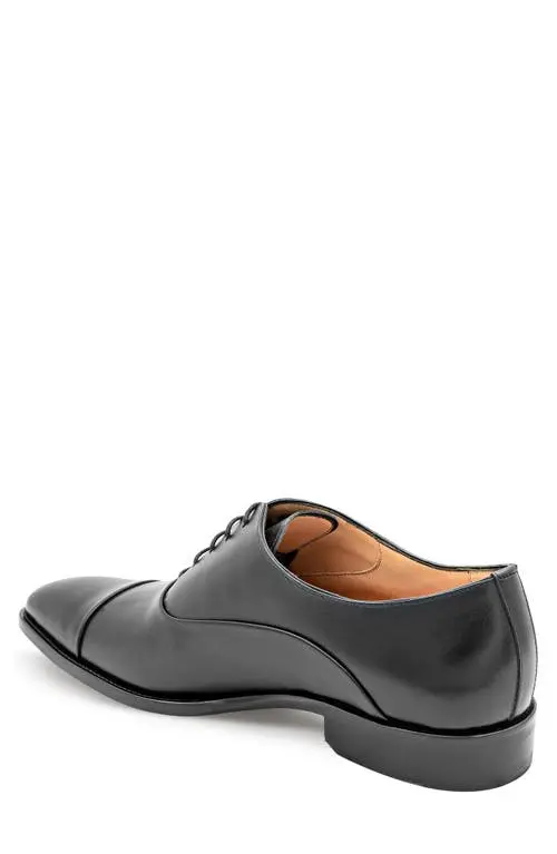 Mezlan Bocelli Cap Toe Oxford - Black