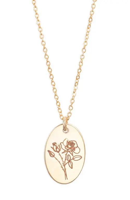 SET & STONES Louise Birth Flower Pendant Necklace - Gold/june