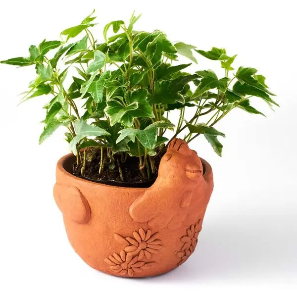MATR BOOMIE Rakshana Plant Pot - Chicken