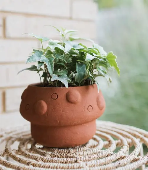MATR BOOMIE Rakshana Plant Pot - Mushroom