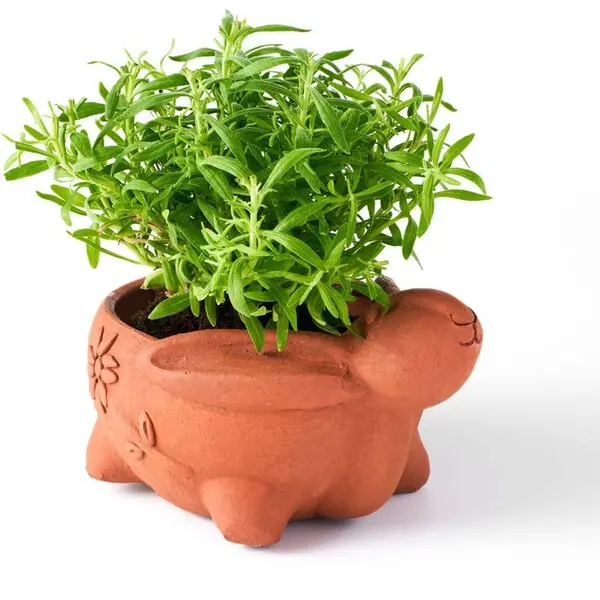 MATR BOOMIE Rakshana Plant Pot - Rabbit