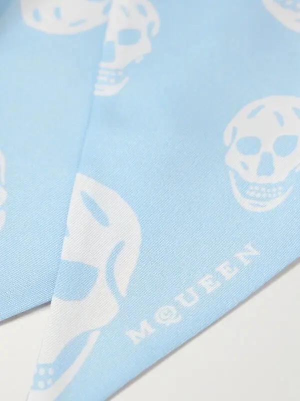 Alexander McQueen Printed Silk-twill Scarf
