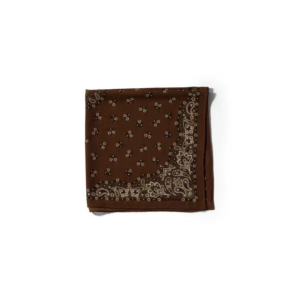 Miu Miu Printed Wool And Cashmere Scarf - Tundra