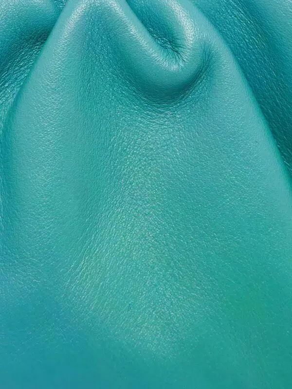 Bottega Veneta 2019 Leather Pouch